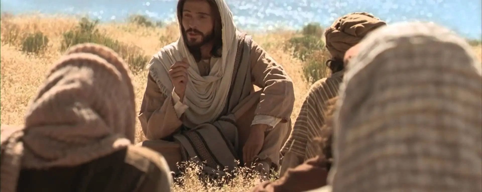 Find a mentor. Become a mentor. - Cellbase