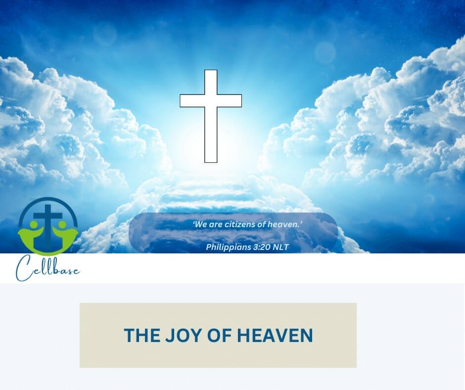 The joys of heaven - Cellbase