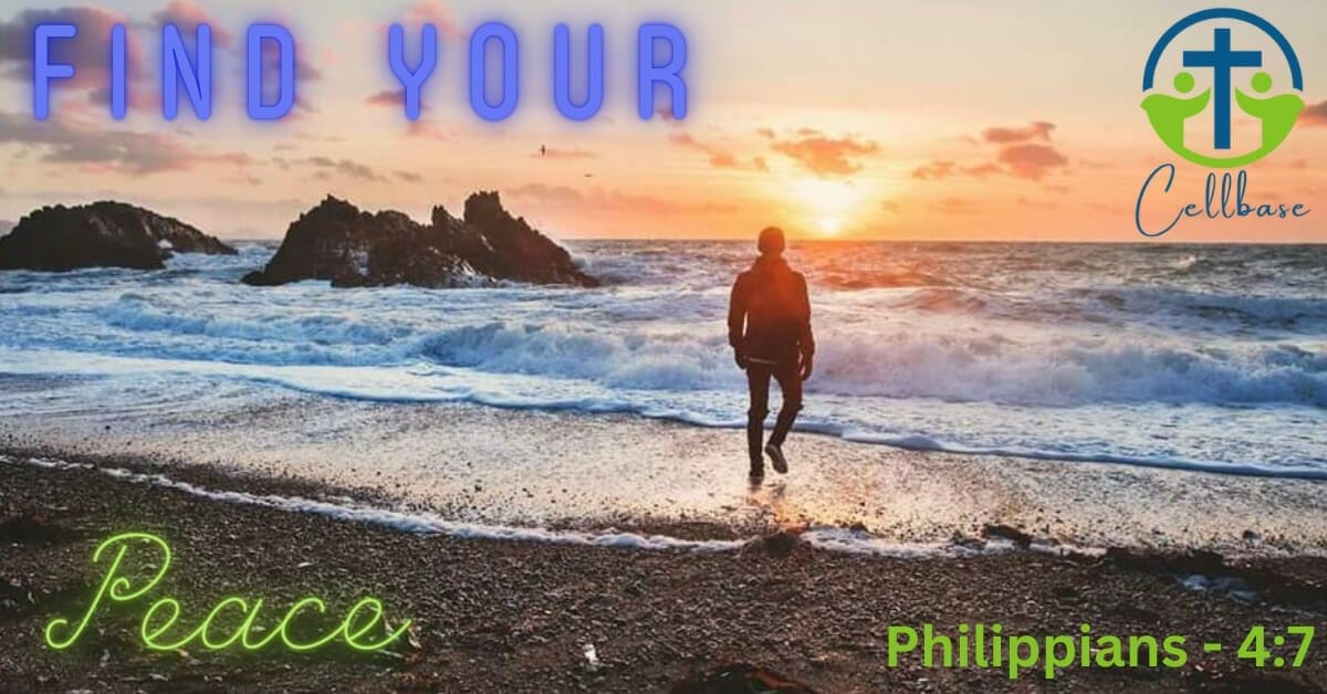 FIND YOUR PEACE! - Cellbase